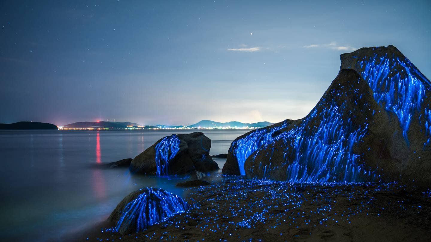 The Weeping Stones - Tdub Photo