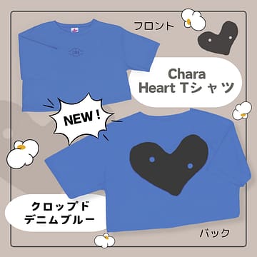 CHARA Official | ニュース、ディスコグラフィー、ライブ、ストア。
